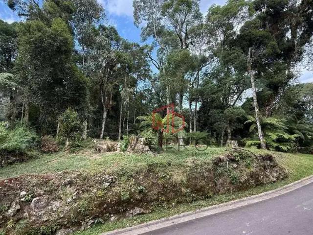 Terreno em Condomínio para Venda em Gramado/RS Mato Queimado