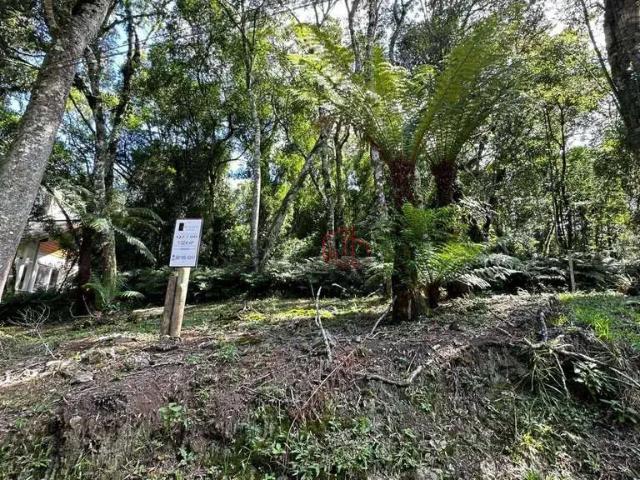 Terreno em Condomínio para Venda em Gramado/RS Mato Queimado