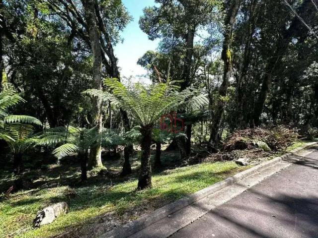 Terreno em Condomínio para Venda em Gramado/RS Mato Queimado