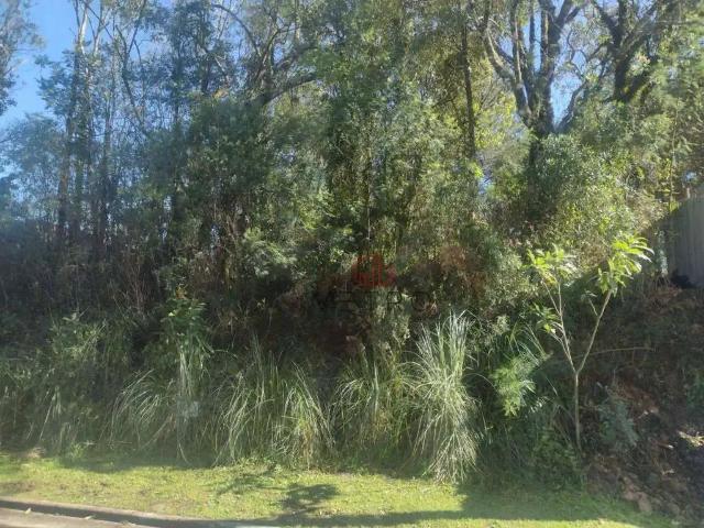 Terreno em Condomínio para Venda em Gramado/RS Vale das Colinas