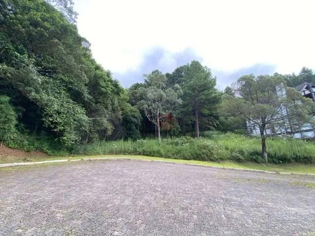 Terreno em Condomínio para Venda em Gramado/RS Vale das Colinas