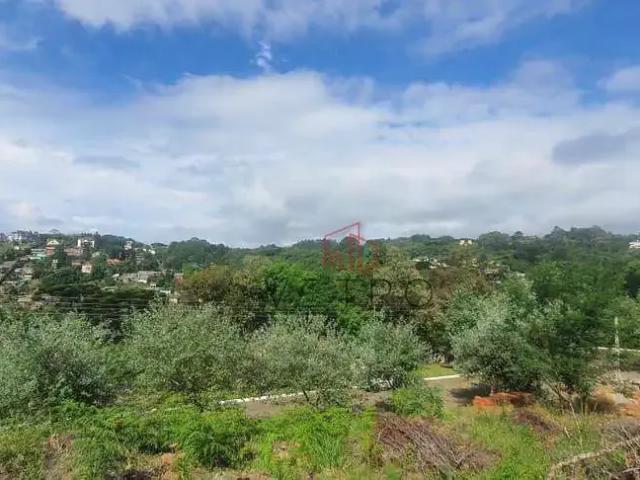Terreno em Condomínio para Venda em Gramado/RS Vale das Colinas