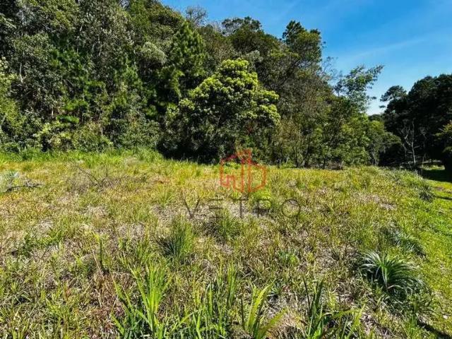 Terreno em Condomínio para Venda em Gramado/RS Vale das Colinas