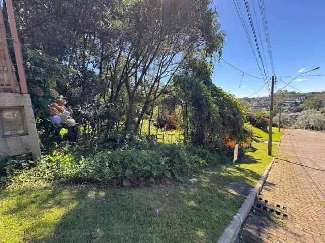 Terreno em Condomínio para Venda em Gramado/RS Vale das Colinas