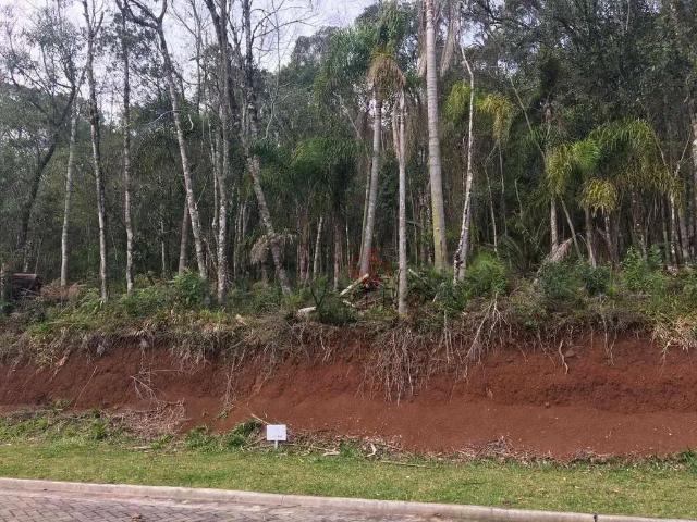 Terreno em Condomínio para Venda em Gramado/RS Vale das Colinas