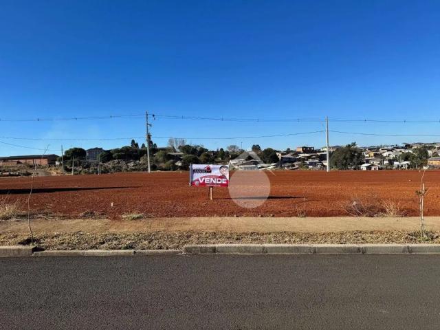 Terreno em Condomínio para Venda em Guarapuava/PR Cascavel