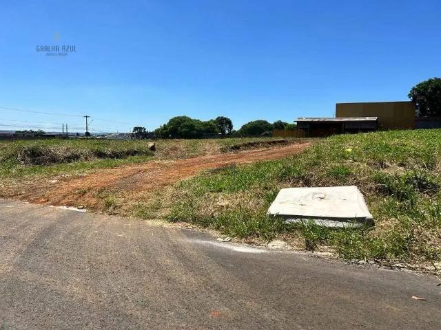 Terreno em Condomínio para Venda em Guarapuava/PR Batel