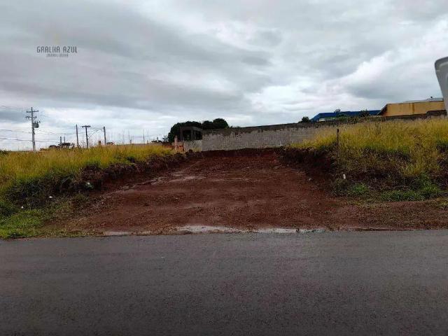 Terreno em Condomínio para Venda em Guarapuava/PR Batel