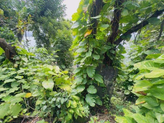 Terreno em Condomínio para Venda em Guarujá/SP Península