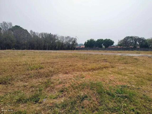 Terreno em Condomínio para Venda em Holambra/SP Parque dos Ipes