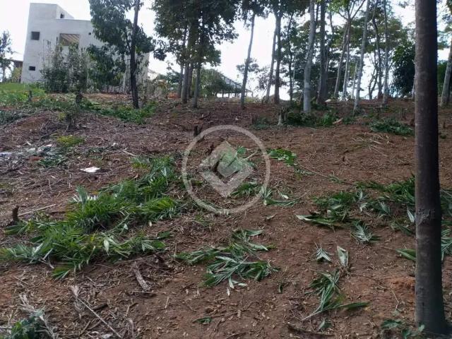 Terreno em Condomínio para Venda em Iapu/MG Cantos da mata