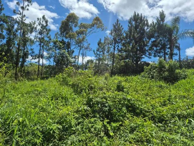 Terreno em Condomínio para Venda em Ibiúna/SP Verava