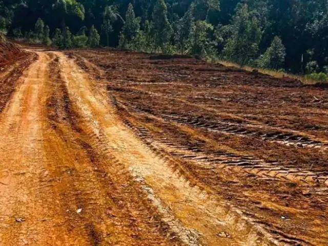 Terreno em Condomínio para Venda em Ibiúna/SP Carmo Messias