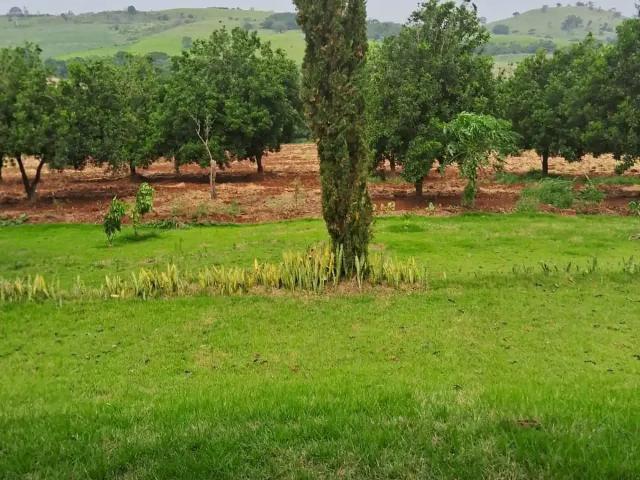 Terreno em Condomínio para Venda em Ibiporã/PR Chácaras Itaúna