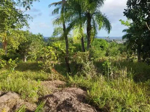 Terreno em Condomínio para Venda em Igarassu/PE Sítio dos Marcos