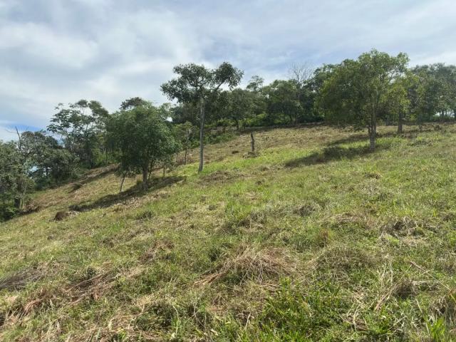 Terreno em Condomínio para Venda em Igaratá/SP Bairro Alto