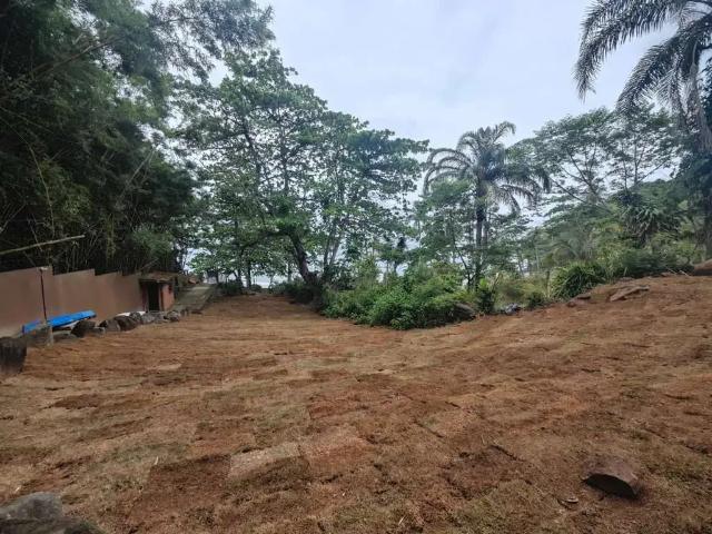 Terreno em Condomínio para Venda em Ilhabela/SP Pacuíba