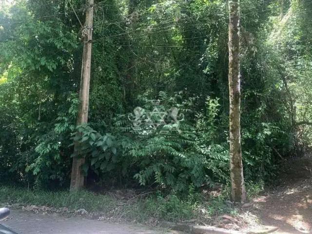 Terreno em Condomínio para Venda em Ilhabela/SP Siriuba