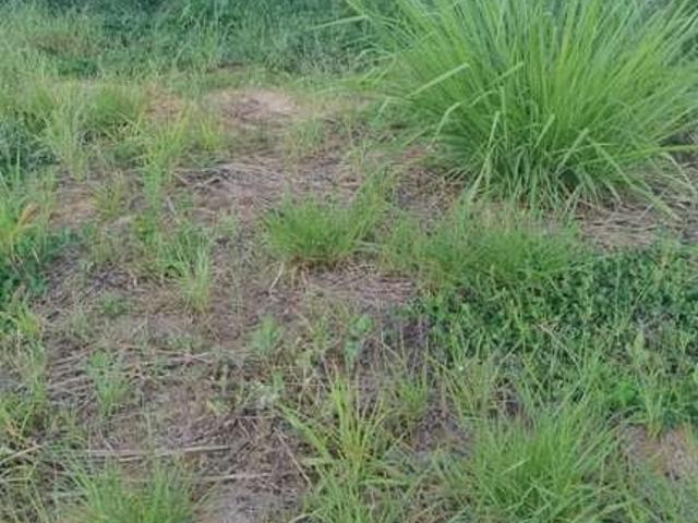 Terreno em Condomínio para Venda em Indaiatuba/SP Itaici