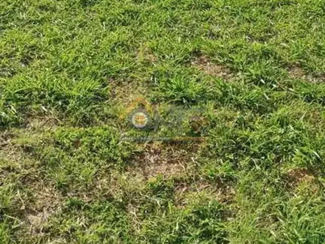 Terreno em Condomínio para Venda em Indaiatuba/SP Jardim Mantova