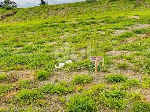 Terreno em Condomínio para Venda em Indaiatuba/SP Jardim Regente