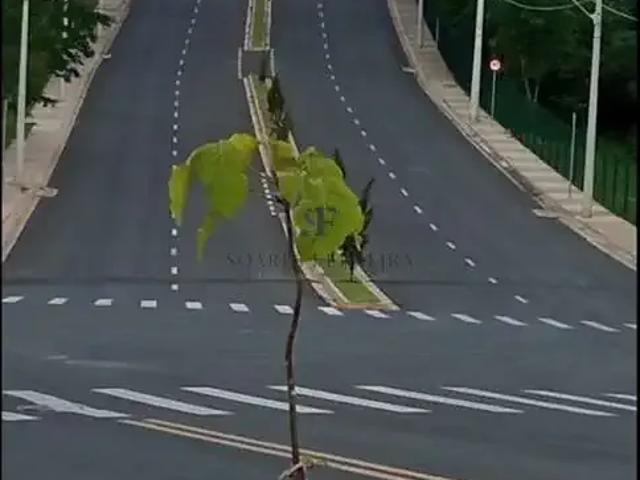Terreno em Condomínio para Venda em Indaiatuba/SP Loteamento Park Gran Reserve