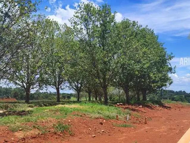Terreno em Condomínio para Venda em Indaiatuba/SP Reserva Itanhangá