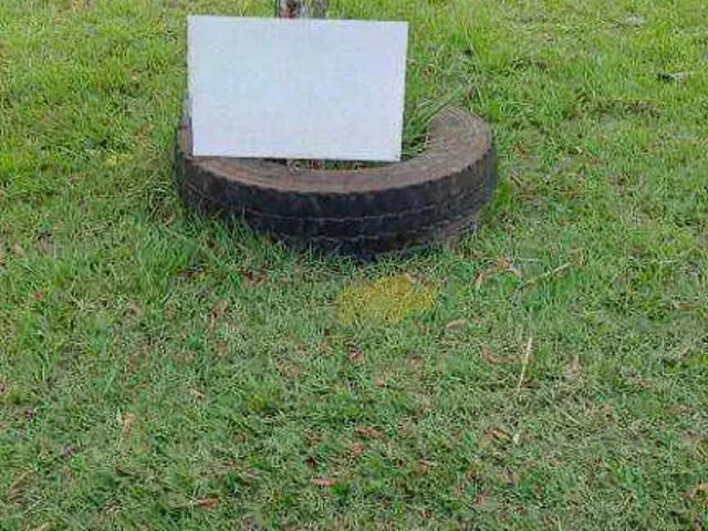 Terreno em Condomínio para Venda em Ipeúna/SP Portal dos Nobres