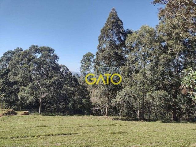 Terreno em Condomínio para Venda em Itatiba/SP Jardim Monte Verde