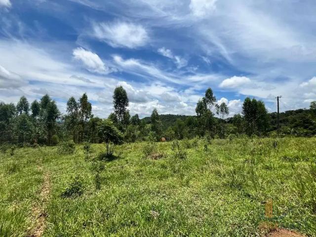 Terreno em Condomínio para Venda em Itaverava/MG Bananal