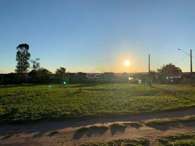 Terreno em Condomínio para Venda em Itirapina/SP Vila Pinhal