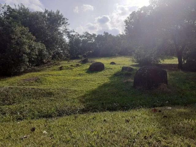 Terreno em Condomínio para Venda em Itupeva/SP Parque dos Resedás