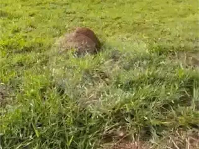 Terreno em Condomínio para Venda em Itupeva/SP Rio Baixo