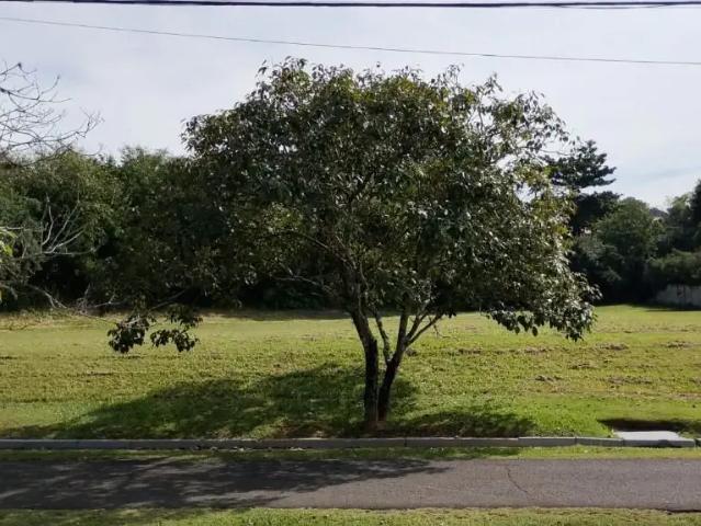 Terreno em Condomínio para Venda em Itu/SP City Castelo