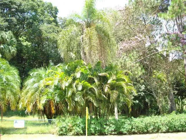 Terreno em Condomínio para Venda em Itu/SP City Castelo