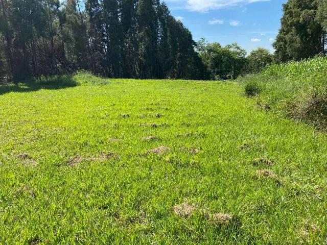 Terreno em Condomínio para Venda em Itu/SP City Castelo