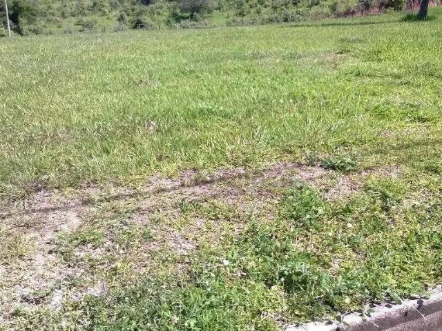 Terreno em Condomínio para Venda em Itu/SP Jardim Paraíso