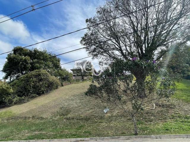 Terreno em Condomínio para Venda em Itu/SP Jardim Plaza Athénée