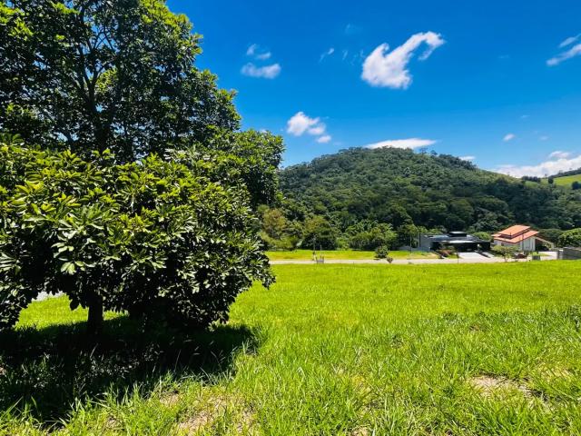 Terreno em Condomínio para Venda em Jambeiro/SP Fazenda São Francisco