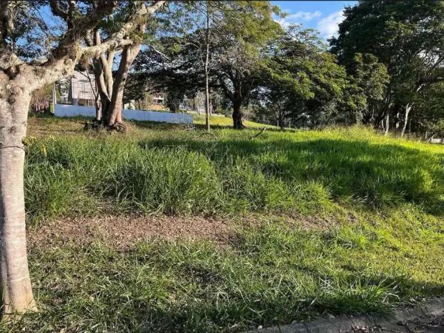 Terreno em Condomínio para Venda em Jambeiro/SP Tapanhao