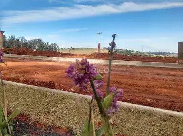 Terreno em Condomínio para Venda em Jaguariúna/SP Colinas do Castelo