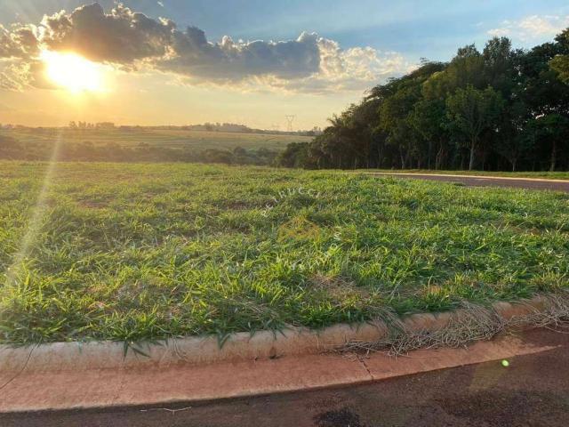 Terreno em Condomínio para Venda em Jaguariúna/SP Reserva Santa Izabel