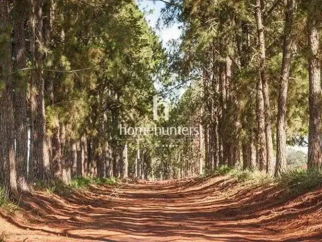 Terreno em Condomínio para Venda em Jaguariúna/SP Residencial Haras Patente