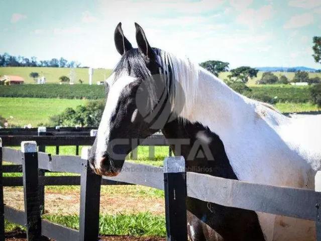 Terreno em Condomínio para Venda em Jaguariúna/SP Residencial Haras Patente