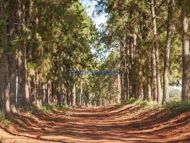 Terreno em Condomínio para Venda em Jaguariúna/SP Residencial Haras Patente