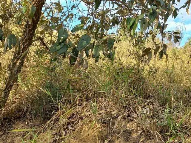 Terreno em Condomínio para Venda em Jundiaí/SP Ivoturucaia