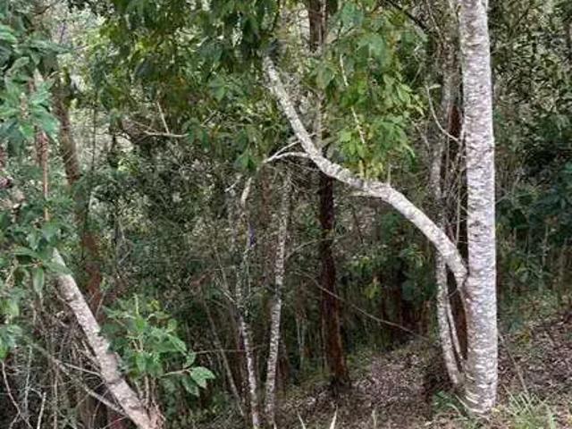 Terreno em Condomínio para Venda em Jundiaí/SP Loteamento Capital Ville