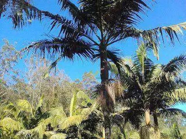 Terreno em Condomínio para Venda em Jundiaí/SP Loteamento Capital Ville