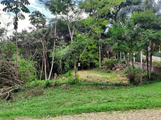 Terreno em Condomínio para Venda em Juiz de Fora/MG Terras do Comendador