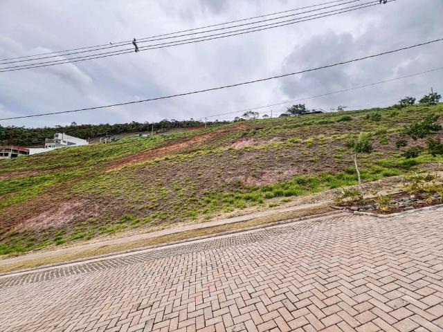 Terreno em Condomínio para Venda em Juiz de Fora/MG Vina Del Mar